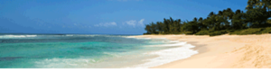 Recipes – Traditional – Pacifica Hawaii Fusion Corporation- Gourmet Sea ...